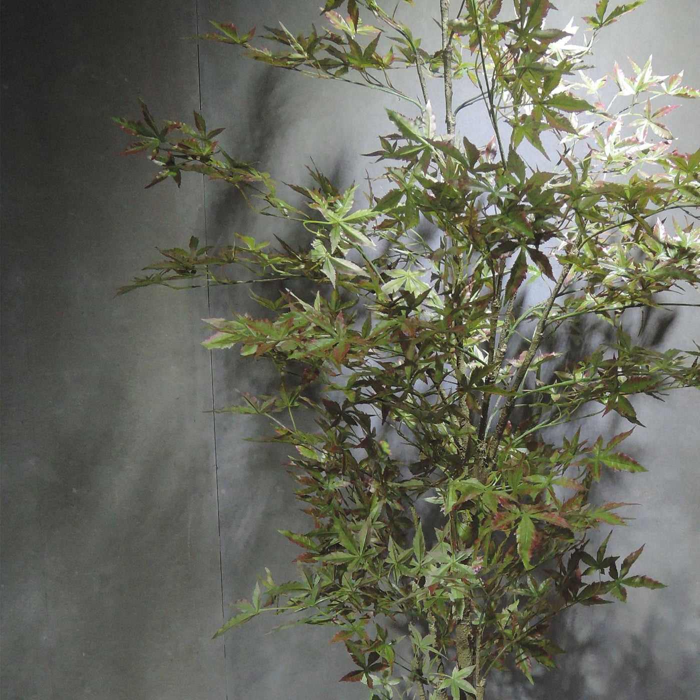 Handmade Decorative Artificial Maple Tree N35120-SM079 | ebarza